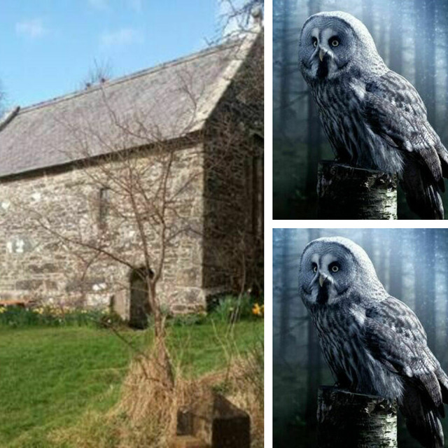 Reflections Of The Past | Insight Timer