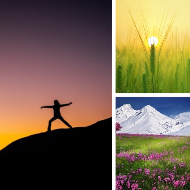 Meditation Music | Insight Timer